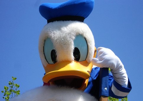 Donald Duck – Einen Moment innehalten